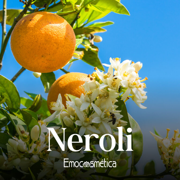 Neroli: que és y propiedades